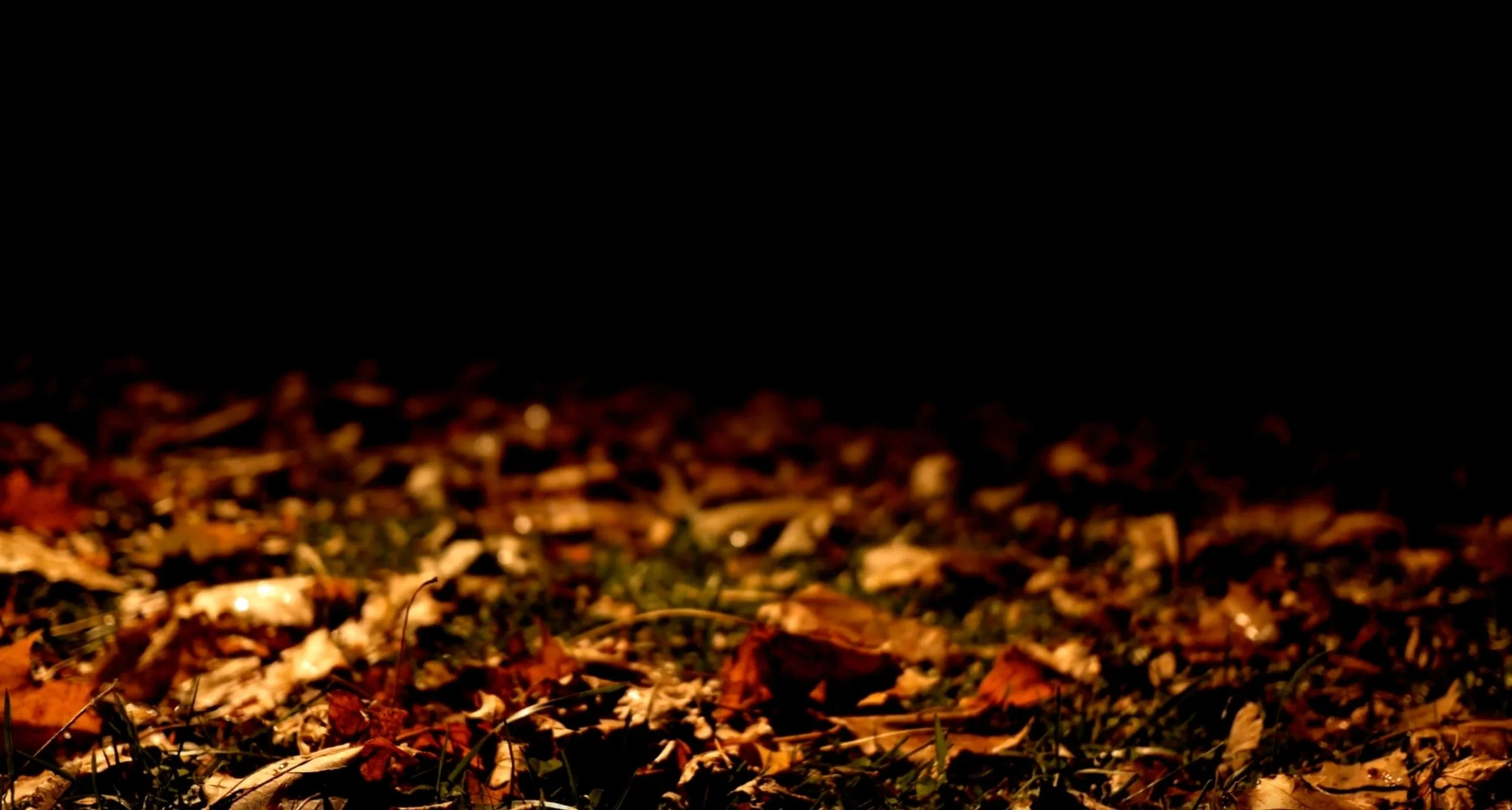 Midnight Ink — Livina Press